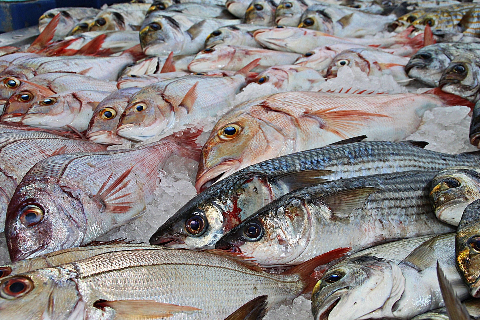 Tsukiji Fish Market Food 2026: Best Eats, Prices & Practical Tips - One ...